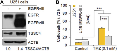 CellDrop™ Automated Cell Counters from DeNovix Inc. | Labcompare.com