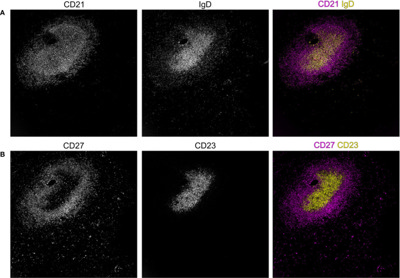 MACSima™ Platform from Miltenyi Biotec | Labcompare.com