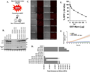 Agilent BioTek Cytation 1 Cell Imaging Multimode Reader from Agilent ...
