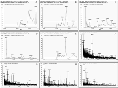 Axima Performance MALDI TOF TOF Mass Spectrometer from Shimadzu ...