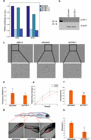 Microplate Reader / Microtiter Plate Reader | Labcompare.com