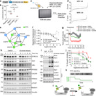 Plate Luminometer / Luminescence Reader | Labcompare.com