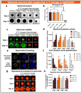 Agilent BioTek Gen5 Software for Imaging & Microscopy from Agilent ...
