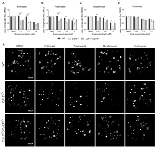 Agilent BioTek Cytation 5 Cell Imaging Multimode Reader from Agilent ...