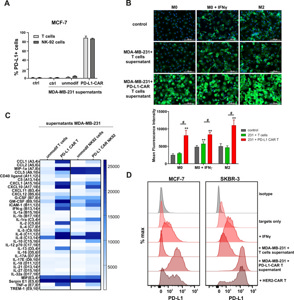 Agilent BioTek Cytation 1 Cell Imaging Multimode Reader from Agilent ...