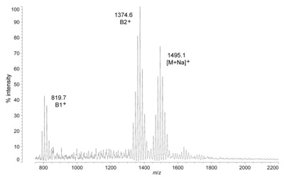 Axima Confidence MALDI TOF Mass Spectrometer from Shimadzu | Labcompare.com