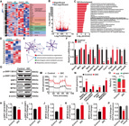 Multimode Microplate Reader | Labcompare.com