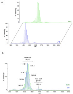 Axima Confidence MALDI TOF Mass Spectrometer from Shimadzu | Labcompare.com