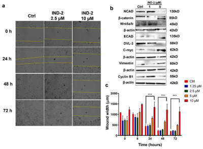 Agilent BioTek Cytation 7 Cell Imaging Multimode Reader from Agilent ...