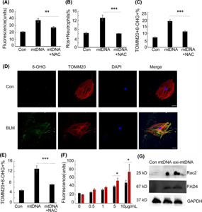 Agilent BioTek Synergy HTX Multimode Reader from Agilent Technologies ...