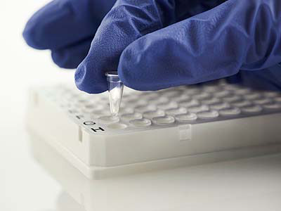 4titude Individual Access 96 Well Skirted PCR Plate 4ti-0960/RA, 4ti ...