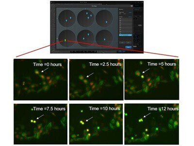 EVOS™ M5000 Imaging System from Thermo Scientific | Labcompare.com