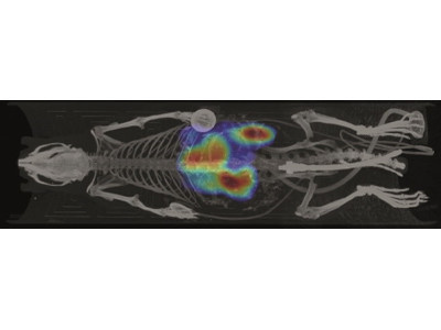 MiLabs U-OI Preclinical in-vivo Optical Imaging System from Rigaku Corporation | Labcompare.com