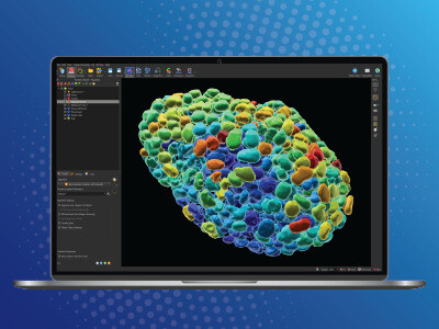 Imaris AI Microscopy Image Analysis Software from Oxford Instruments ...
