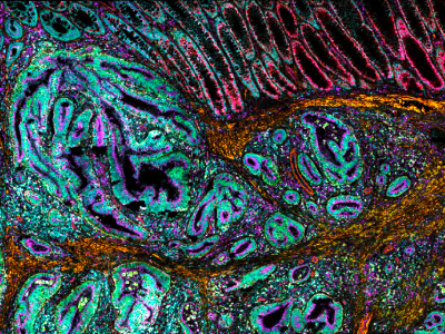 MACSima™ Platform from Miltenyi Biotec | Labcompare.com