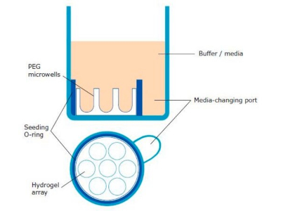 Millicell® Microwell Plates MC96U4005 / MC96U6005 from MilliporeSigma ...