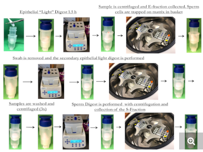SpermX™ Differential Extraction System from InnoGenomics Technologies ...