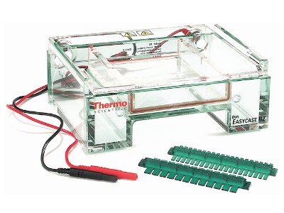 Gel Electrophoresis Instrument | Labcompare.com