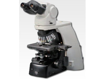 Fluorescence Microscopy