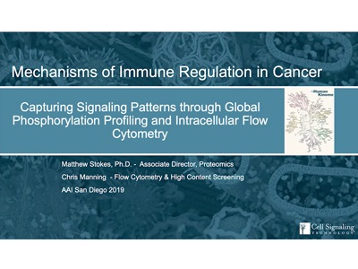 Mechanisms of Immune Regulation: Capturing Signaling Patterns through ...
