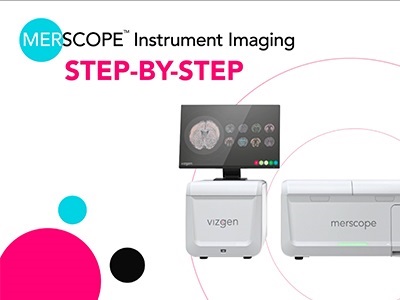 MERSCOPE™ Instrument Imaging - Step by Step
