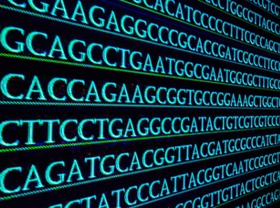 Mass Senator Proposes Bill to Expand Familial DNA Searching