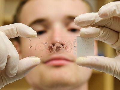 Maryland University Launches Master of Science in Forensic Pattern ...