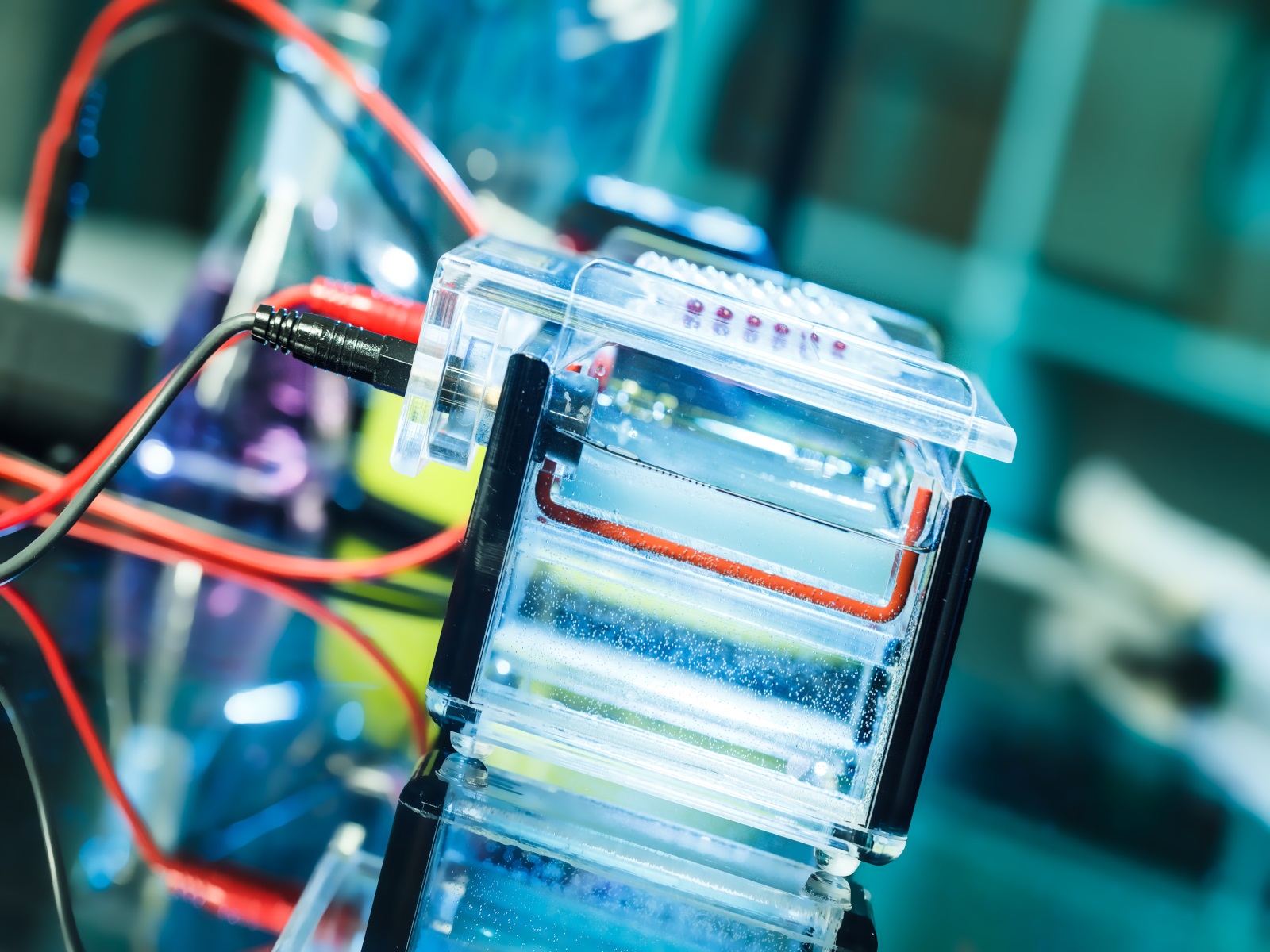 Infographic: Capillary Electrophoresis versus Next-Generation Sequencing
