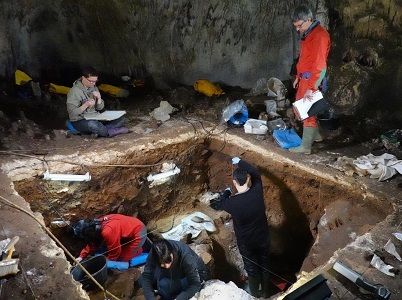 Scientists Extract Nuclear DNA from Cave Sediments