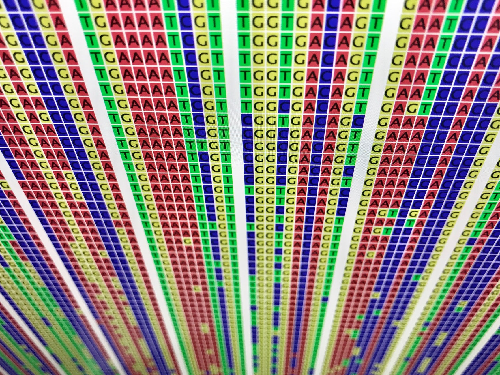 Understanding Snps How To Use Snps To Enhance Traditional Forensic