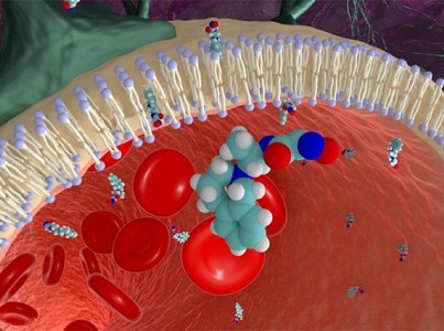 Scientists Develop Antidote for Nerve Agent Poisoning