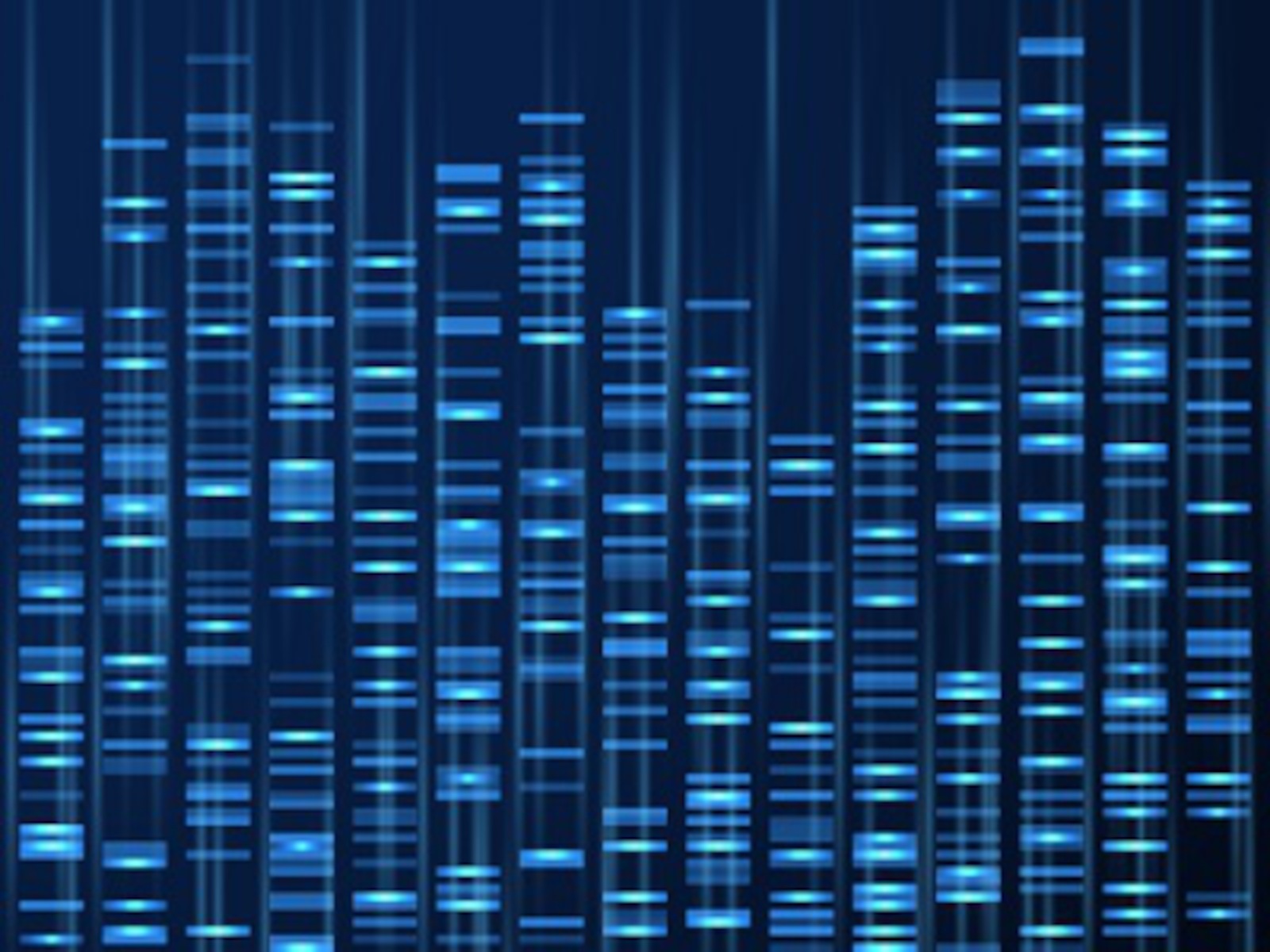 Comparison and optimization of two qPCR DNA quantification assays to ...