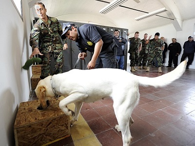 Homeland Security Releases New Training Guideline for Detection Canine ...