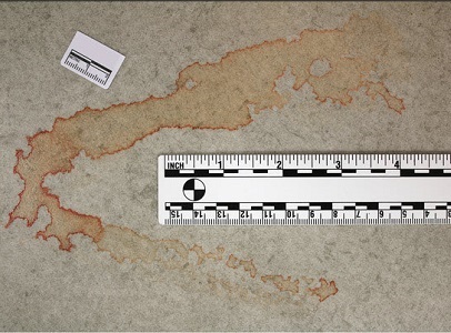 Black Box Study Assesses Reproducibility of Bloodstain Pattern Analysis