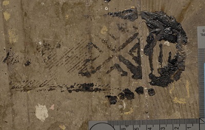 UK Experts Create New Footwear Mark Database