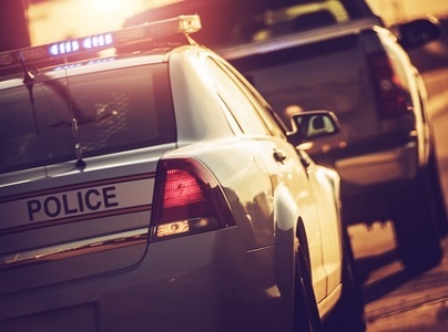 How Handheld Tech is Making it Easier to ID in the Field