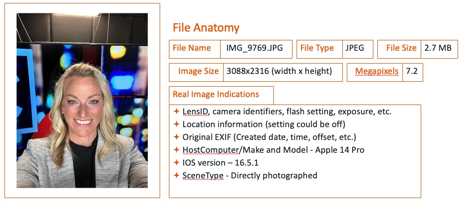 Fake or Real? Detecting AI Images from a Forensic Lens