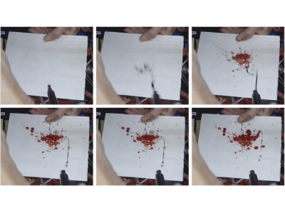 The Next Frontier: Bloodstain Pattern Dynamics in Microgravity