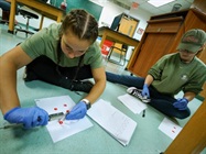 Home | On the Scene and in the Lab - Forensic®