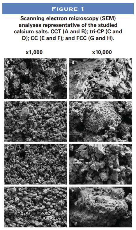 Calcium Bioavailability: A Comparative Study of Different Calcium ...